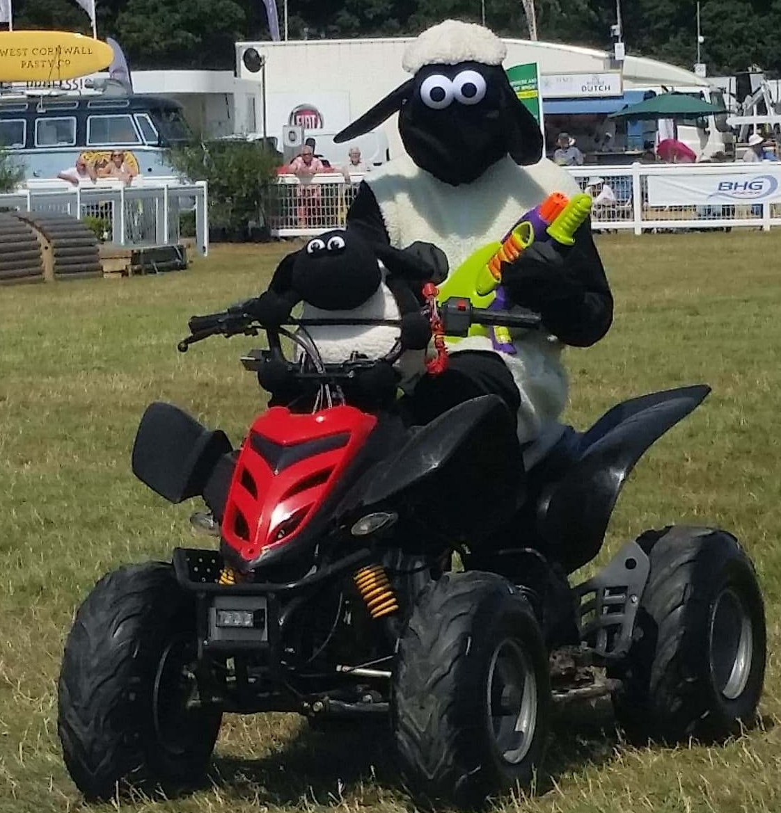 Silly Saturday – Sensible Sheep | Times and Tides of a Beachwriter