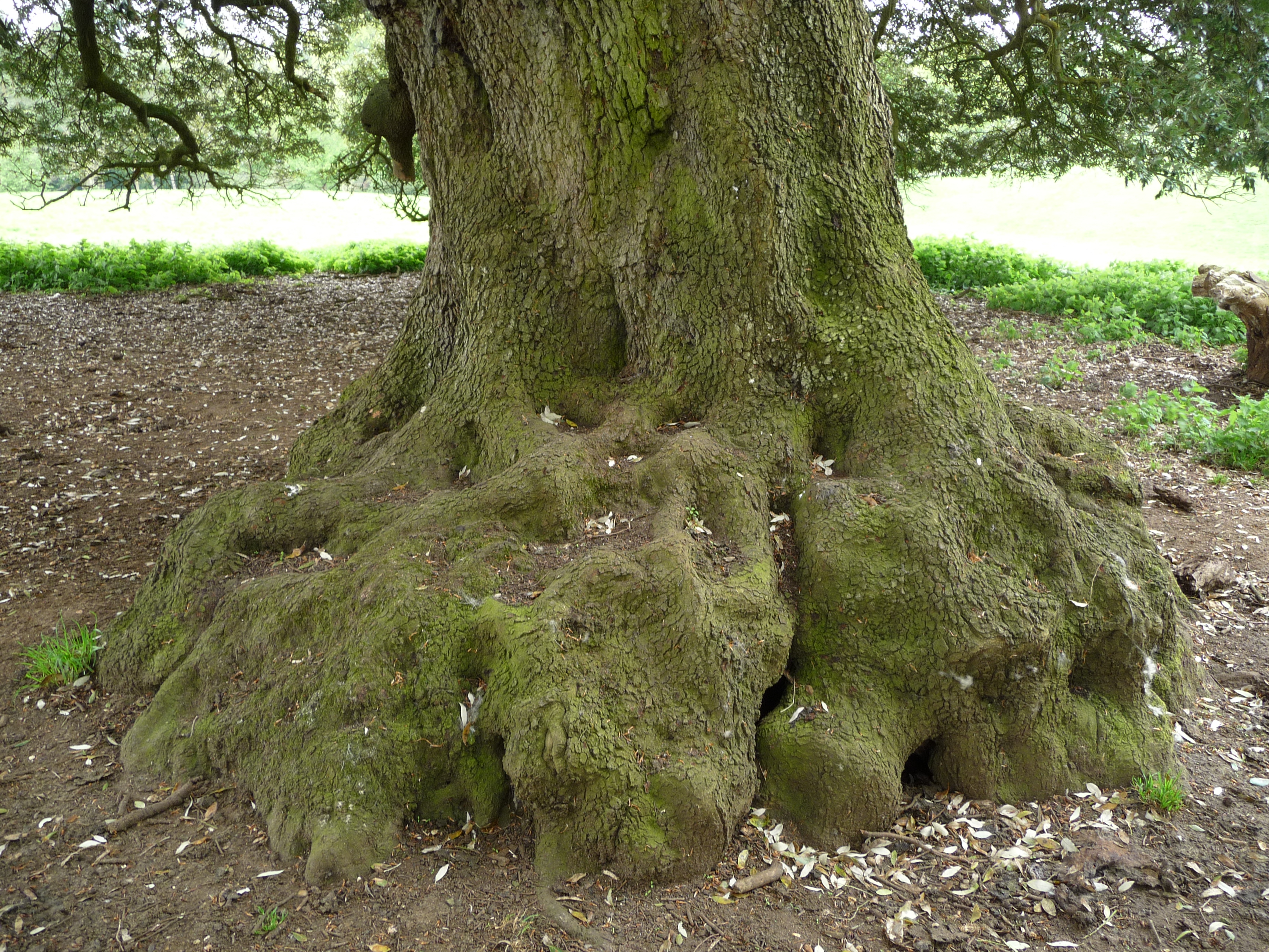 Friday Flash Fiction 900 -Morning Jog | Times and Tides of a Beachwriter